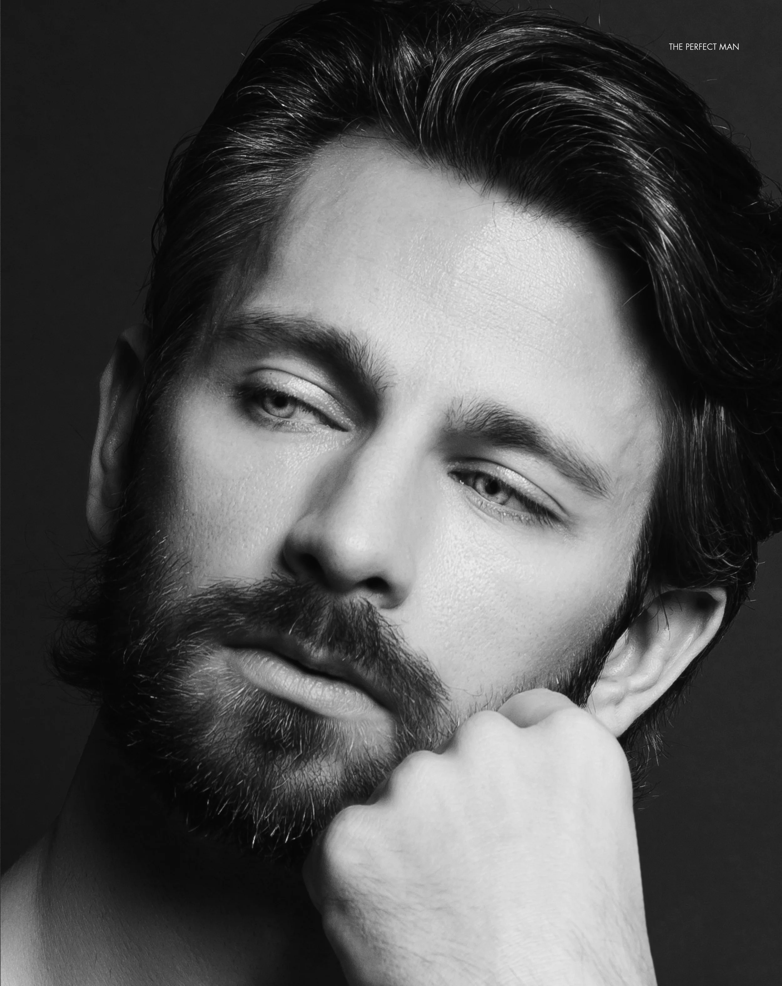 THE PERFECT MAN — The Perfect Man Magazine