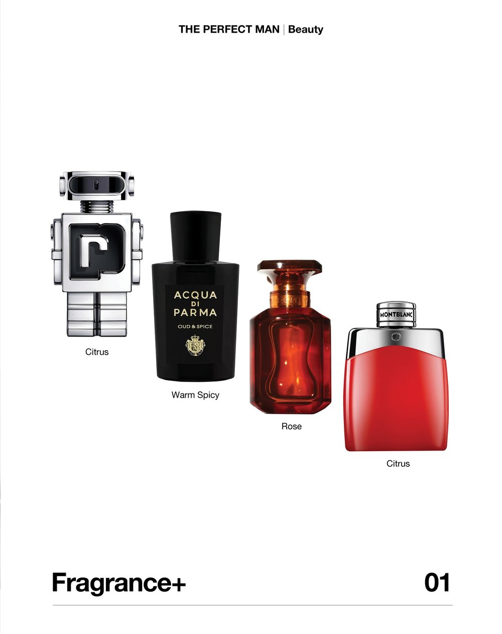 THE PERFECT MAN — The Perfect Man Magazine