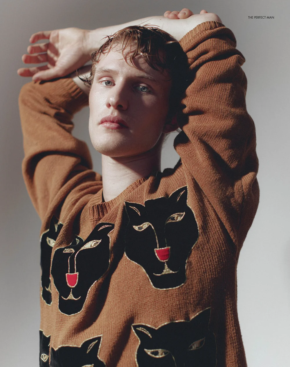 THE PERFECT MAN — The Perfect Man Magazine