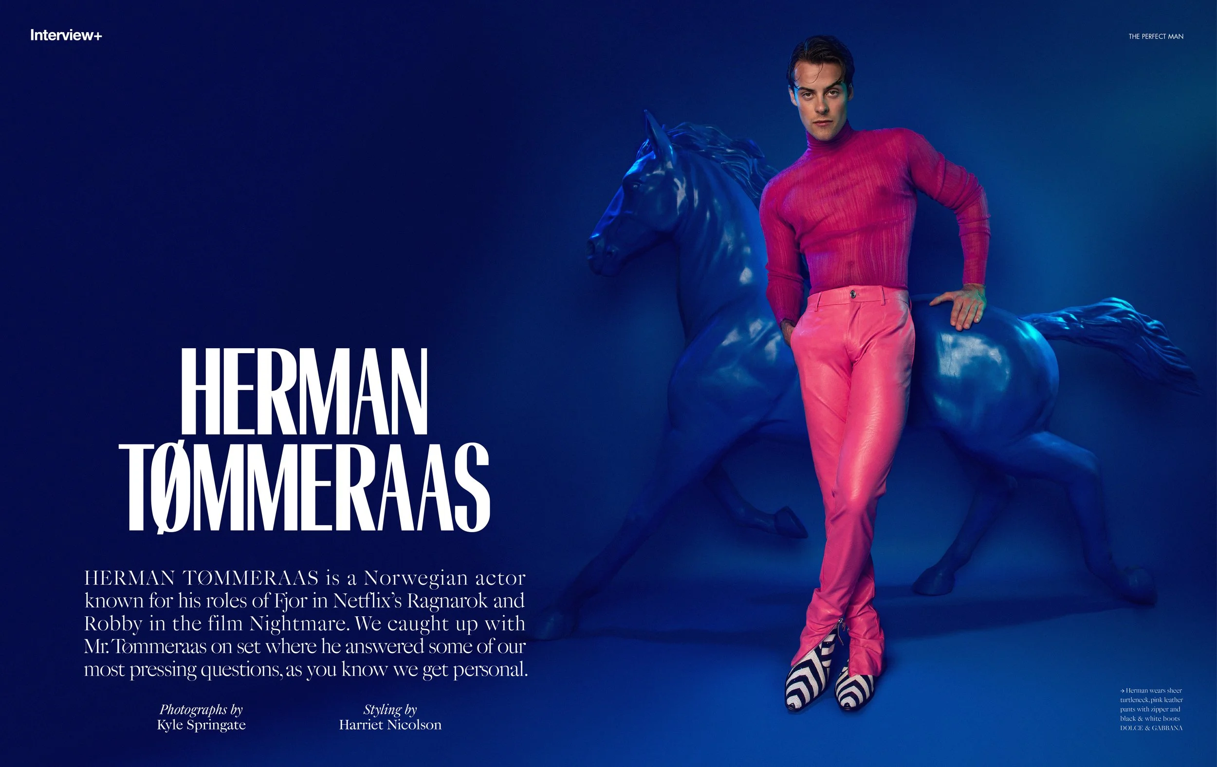 THE PERFECT MAN — The Perfect Man Magazine