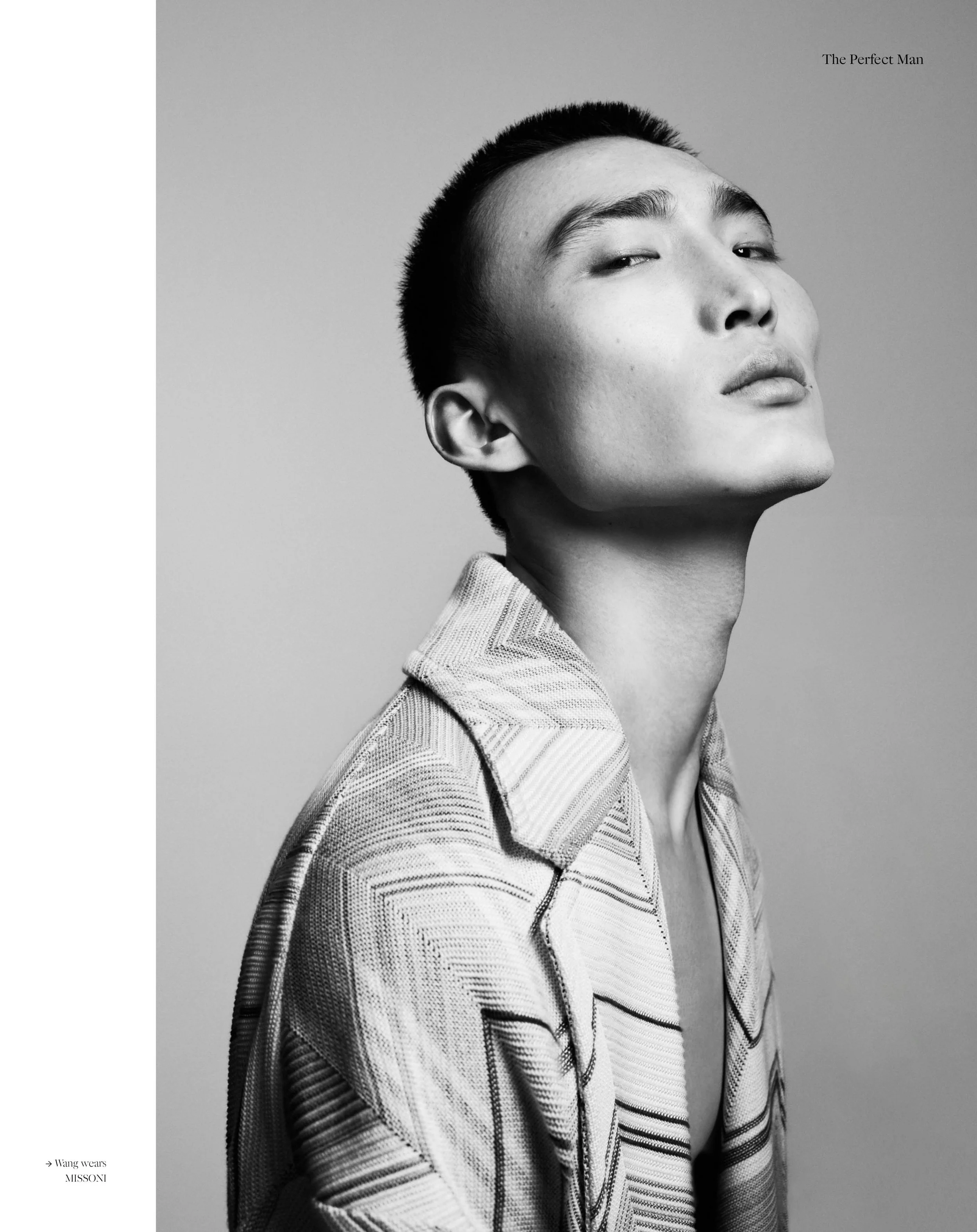 THE PERFECT MAN — The Perfect Man Magazine