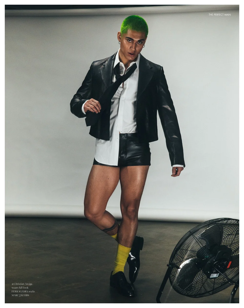 THE PERFECT MAN — The Perfect Man Magazine