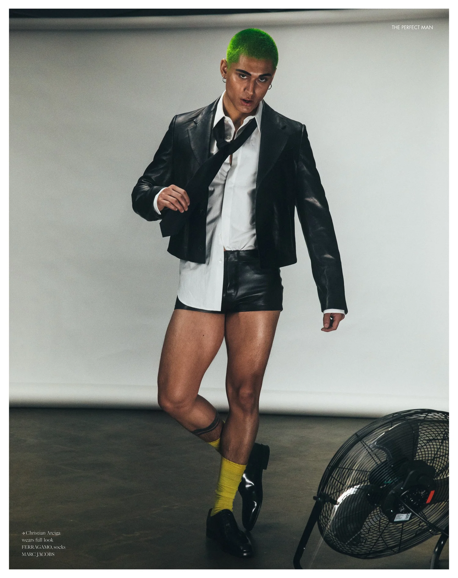 THE PERFECT MAN — The Perfect Man Magazine