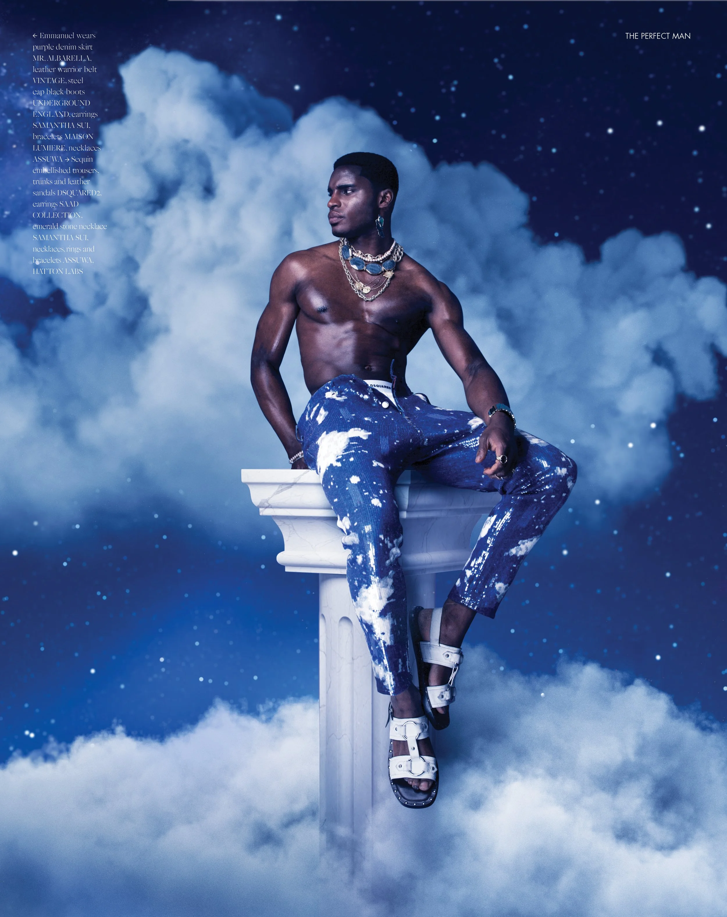 THE PERFECT MAN — The Perfect Man Magazine