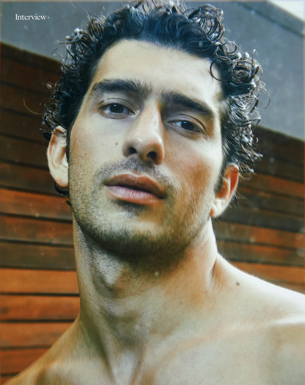 THE PERFECT MAN — The Perfect Man Magazine