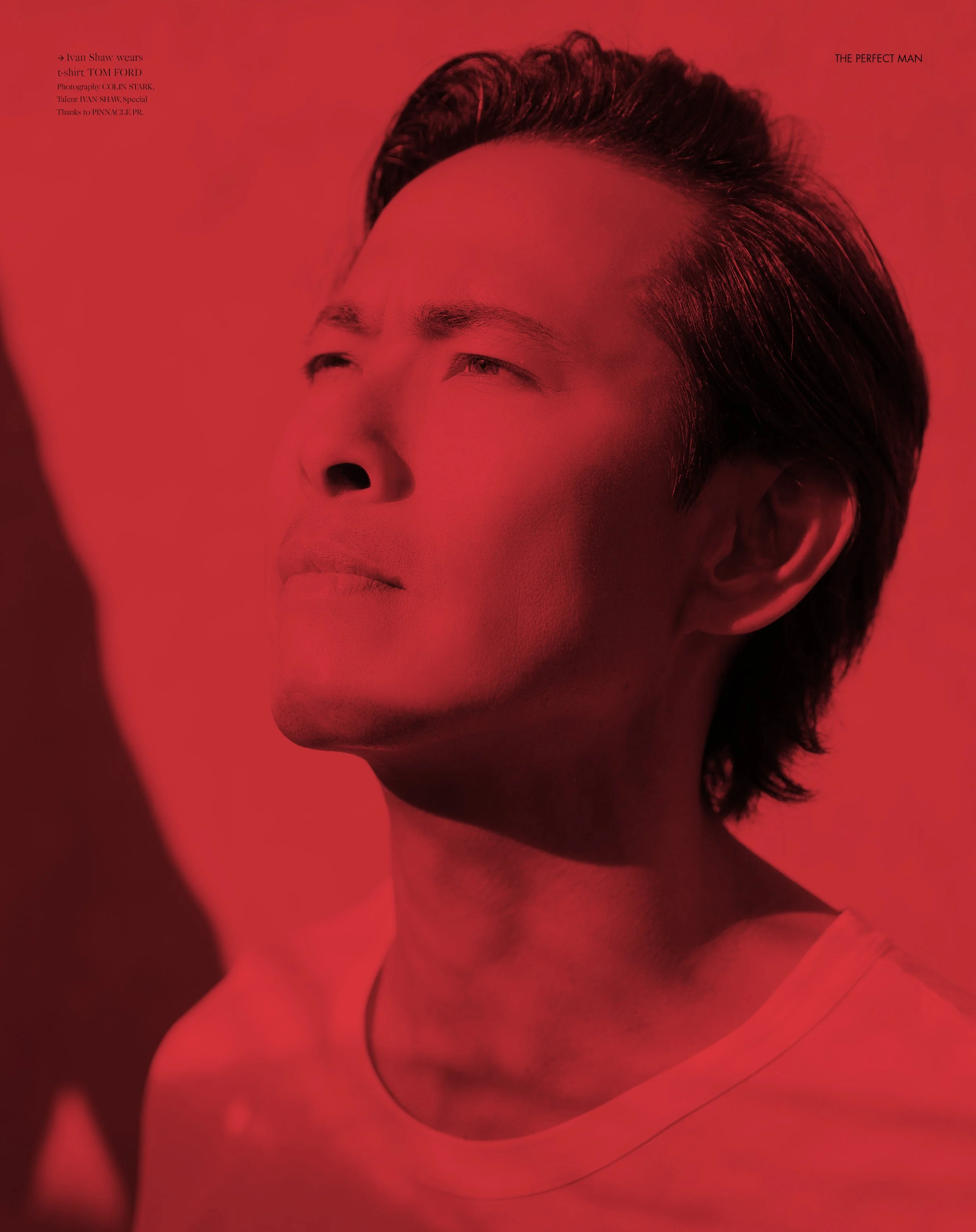 THE PERFECT MAN — The Perfect Man Magazine