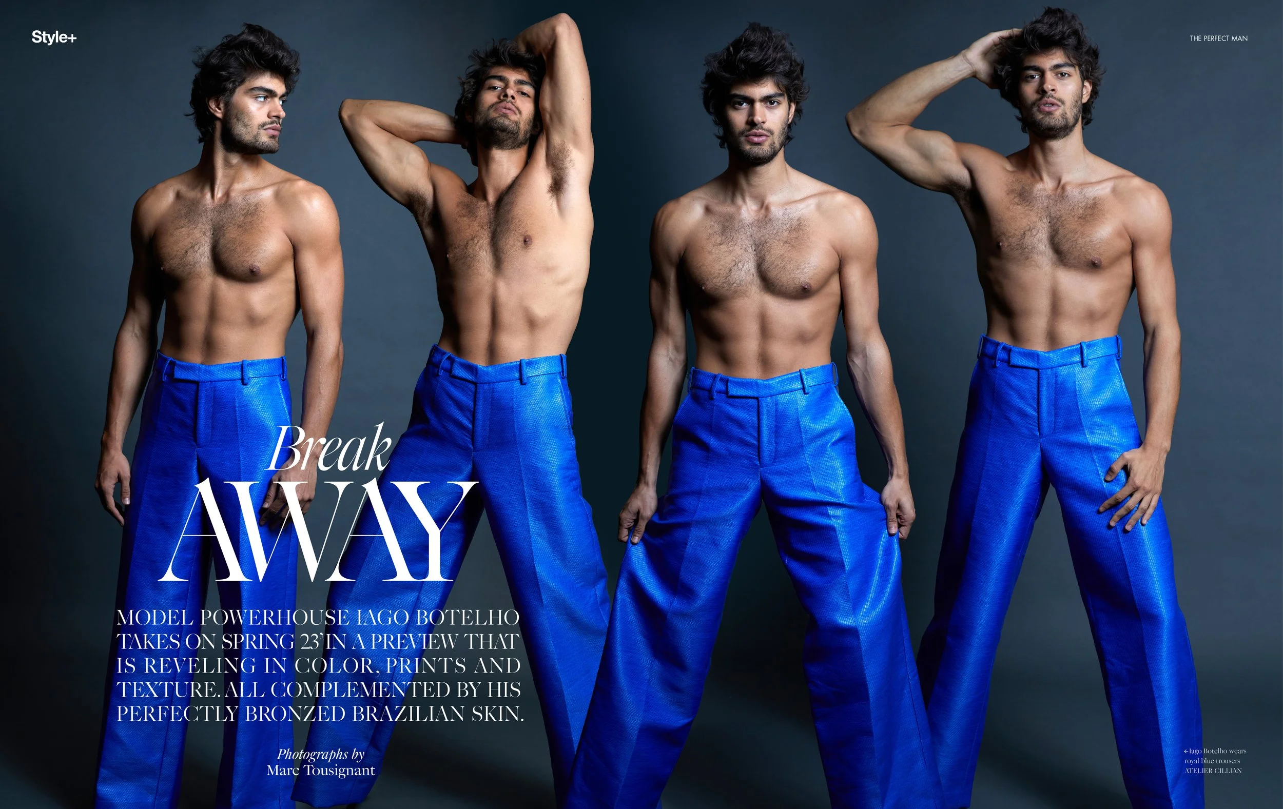 THE PERFECT MAN — The Perfect Man Magazine