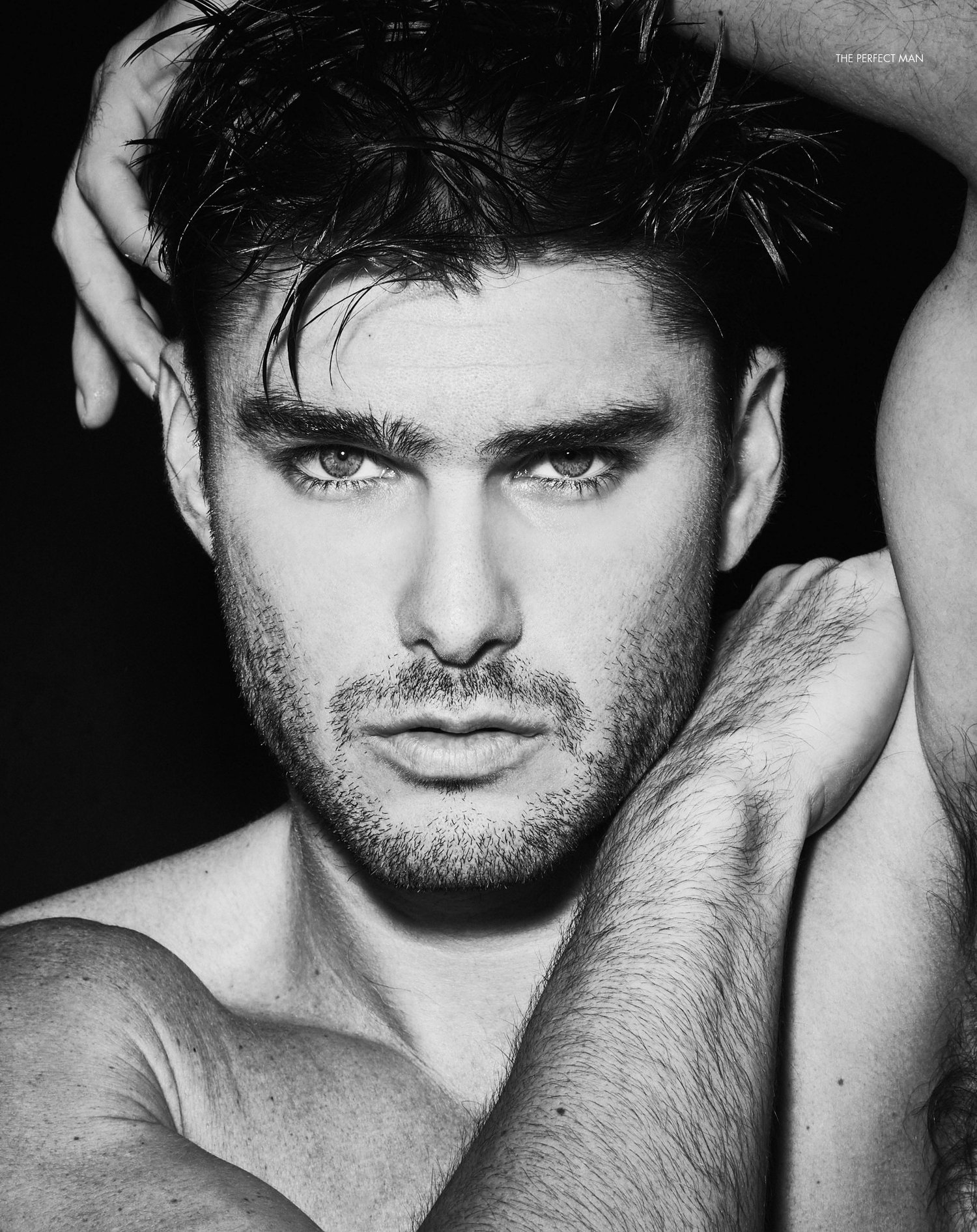 THE PERFECT MAN — The Perfect Man Magazine