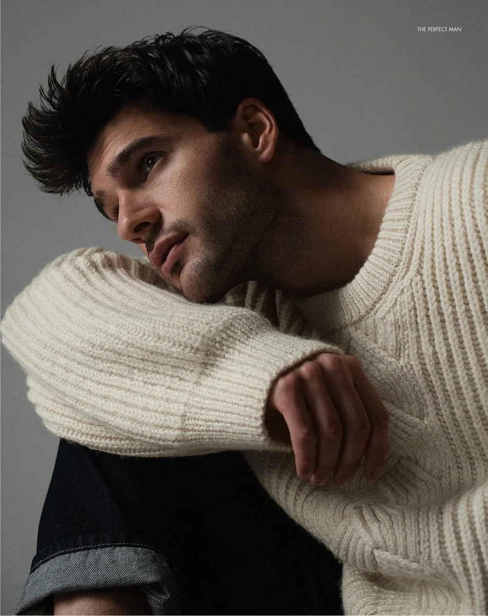 THE PERFECT MAN — The Perfect Man Magazine
