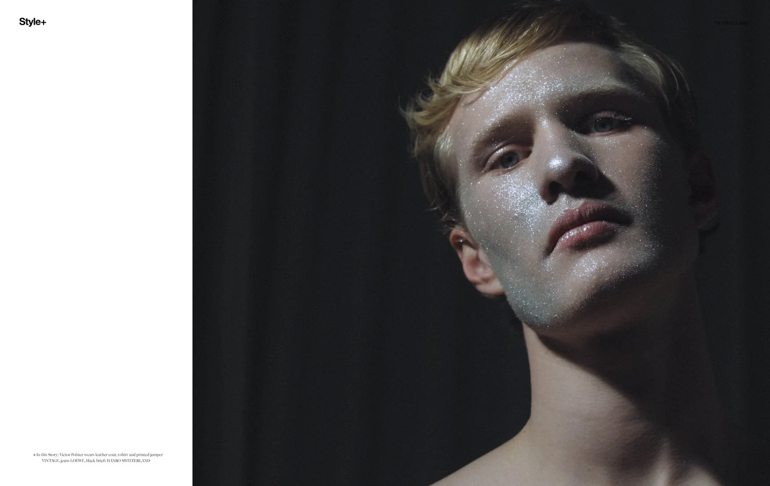 THE PERFECT MAN — The Perfect Man Magazine