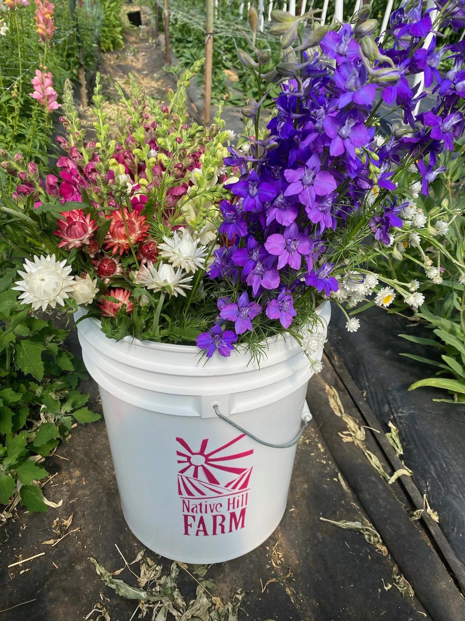 DIY Flower U-Pick Bucket — Native Hill Farm