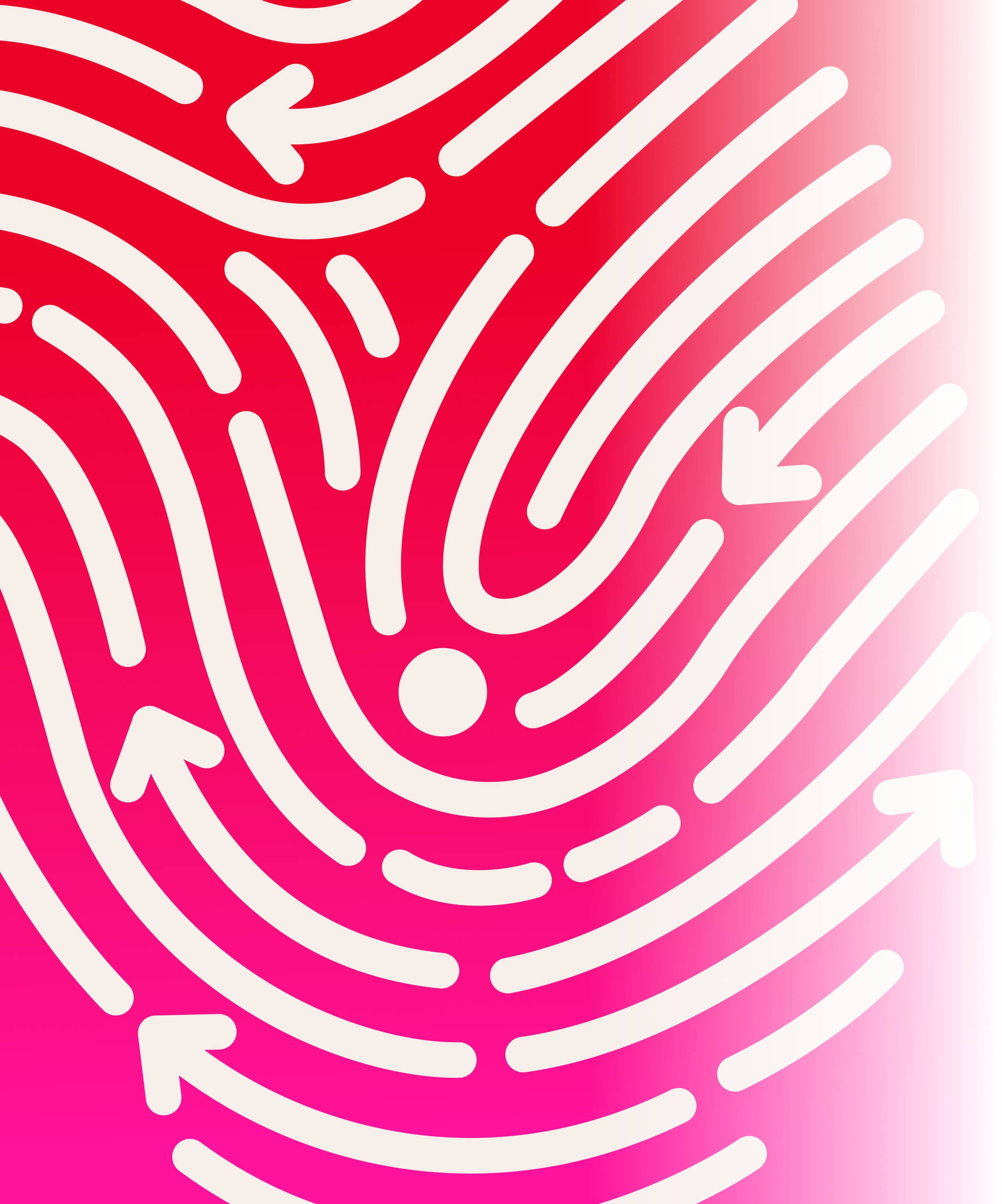 SASHA HAMDANI — TEDxKC