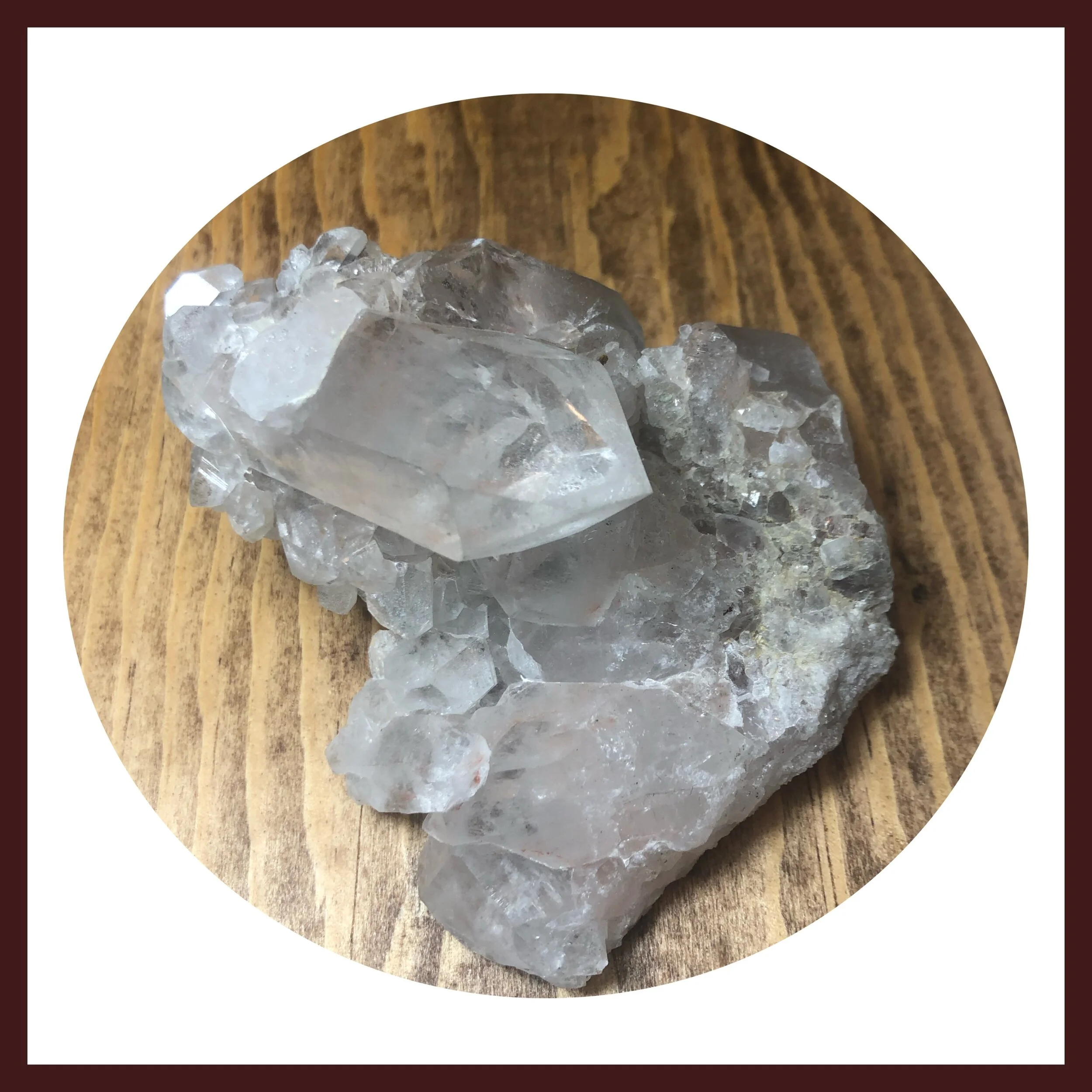 Specimens — The Gem Den