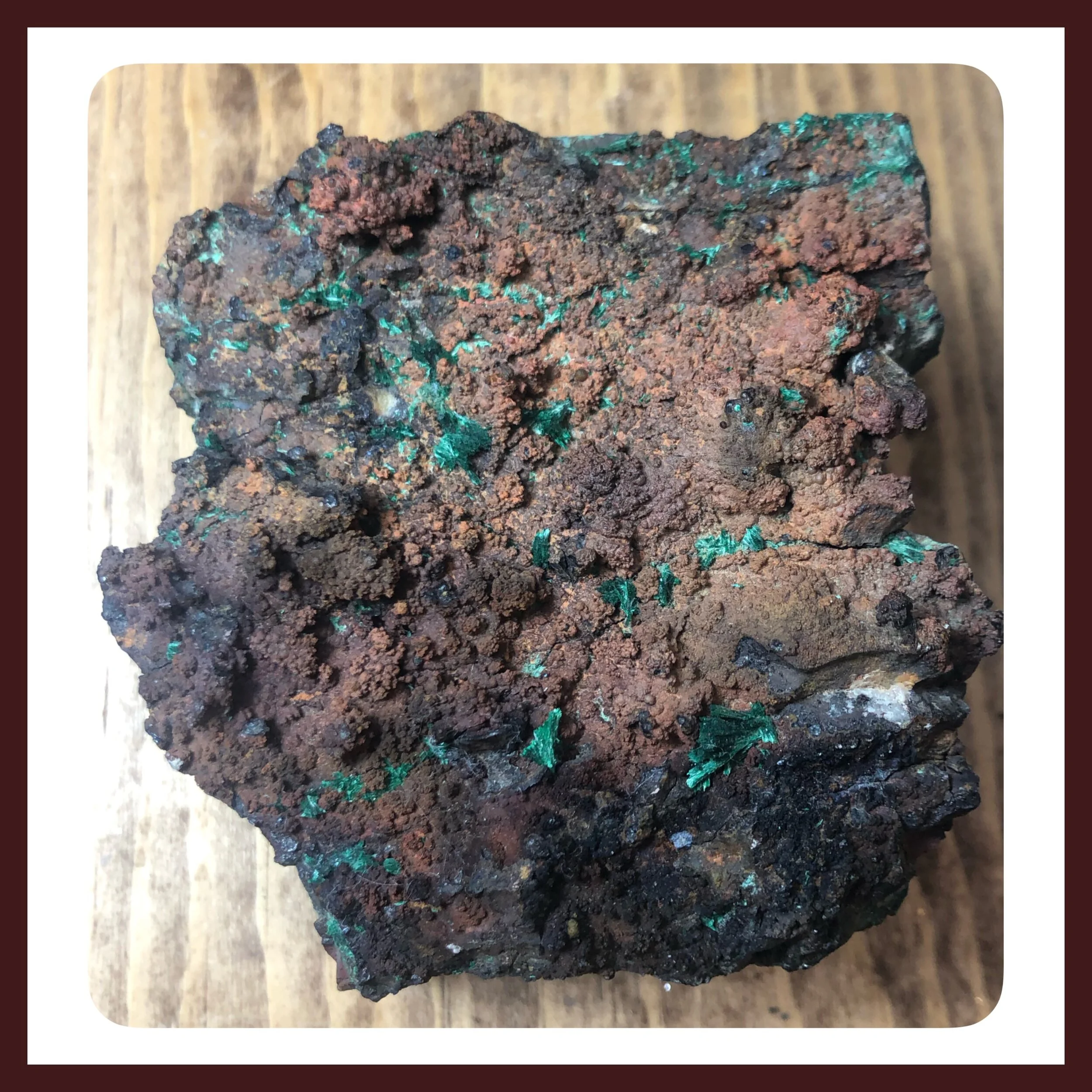 Specimens — The Gem Den