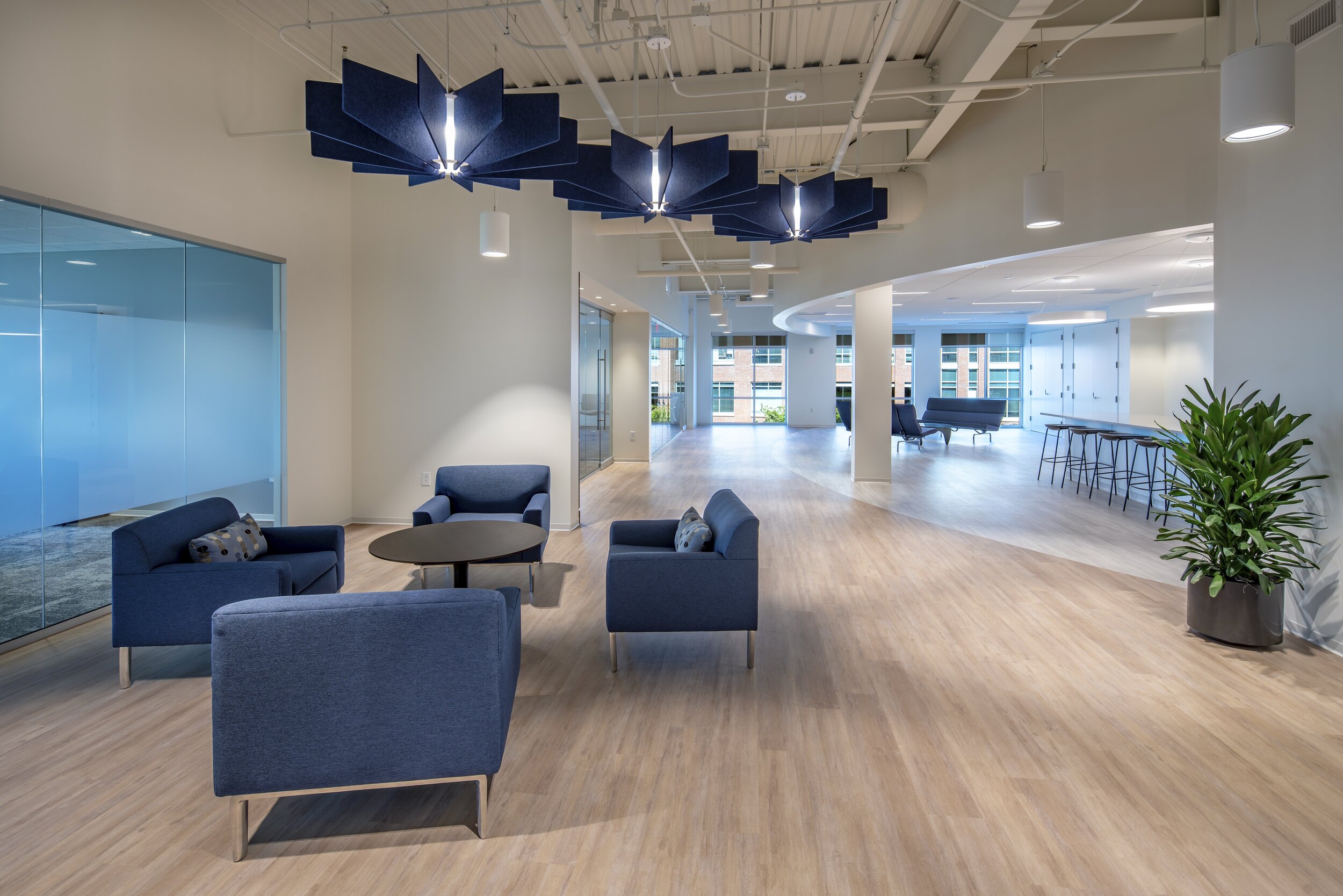 Modern Office Projects — Riley-Lewis General Contractors