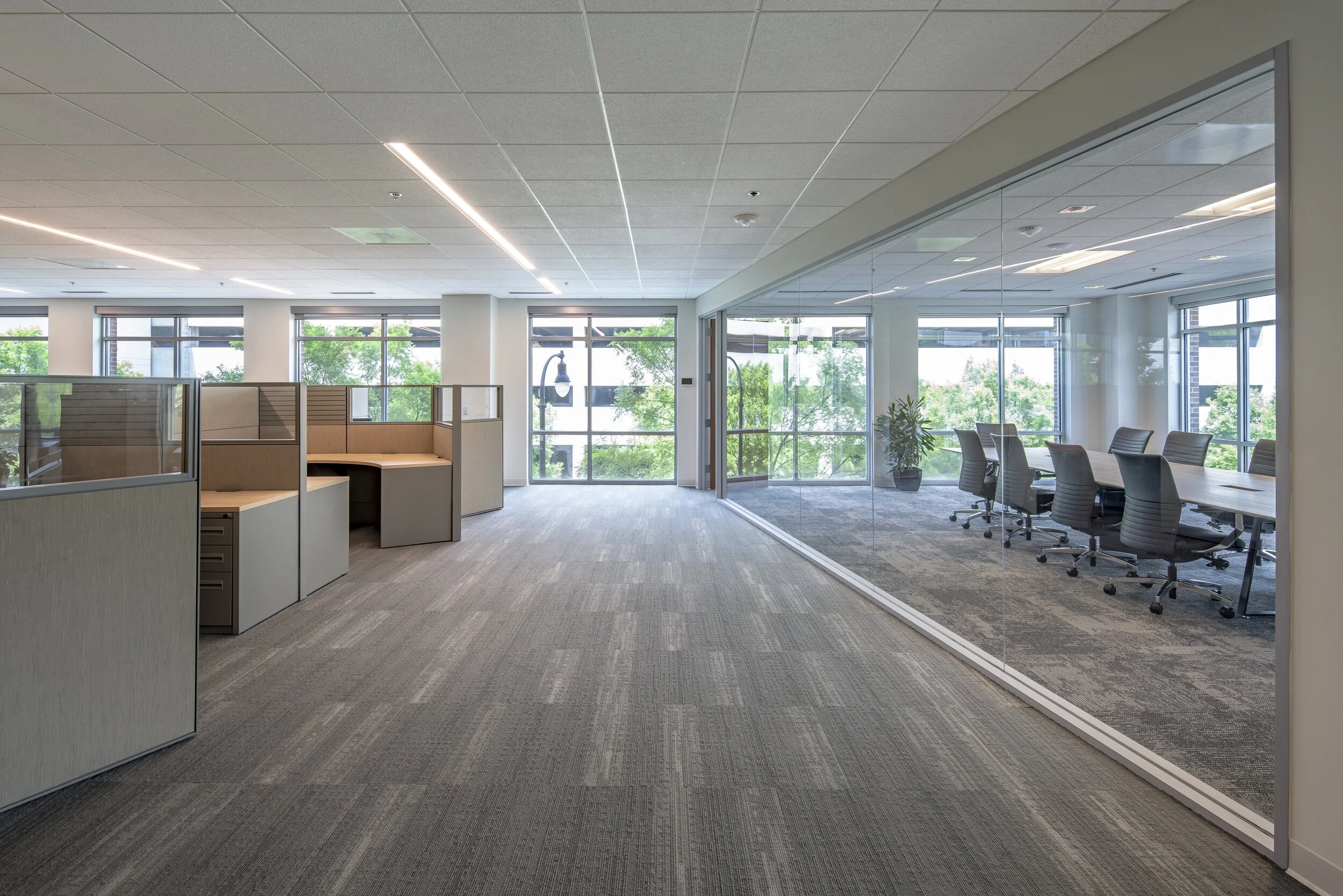 Modern Office Projects — Riley-Lewis General Contractors