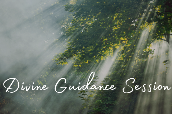 Divine Guidance Session — Mary Cenci
