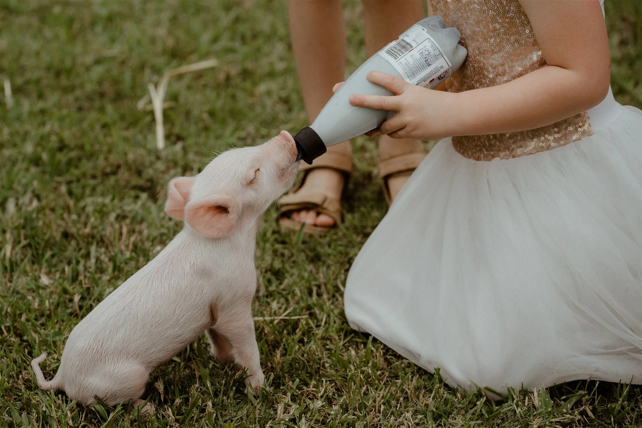 Asher's 1st Birthday - Peter Rabbit — Cloud 9 Event Management