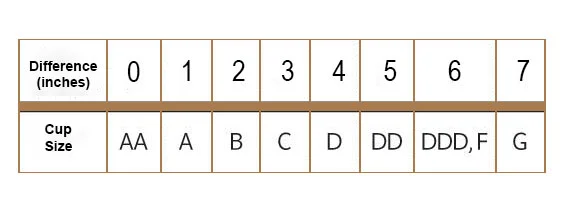 How to measure your bra size
