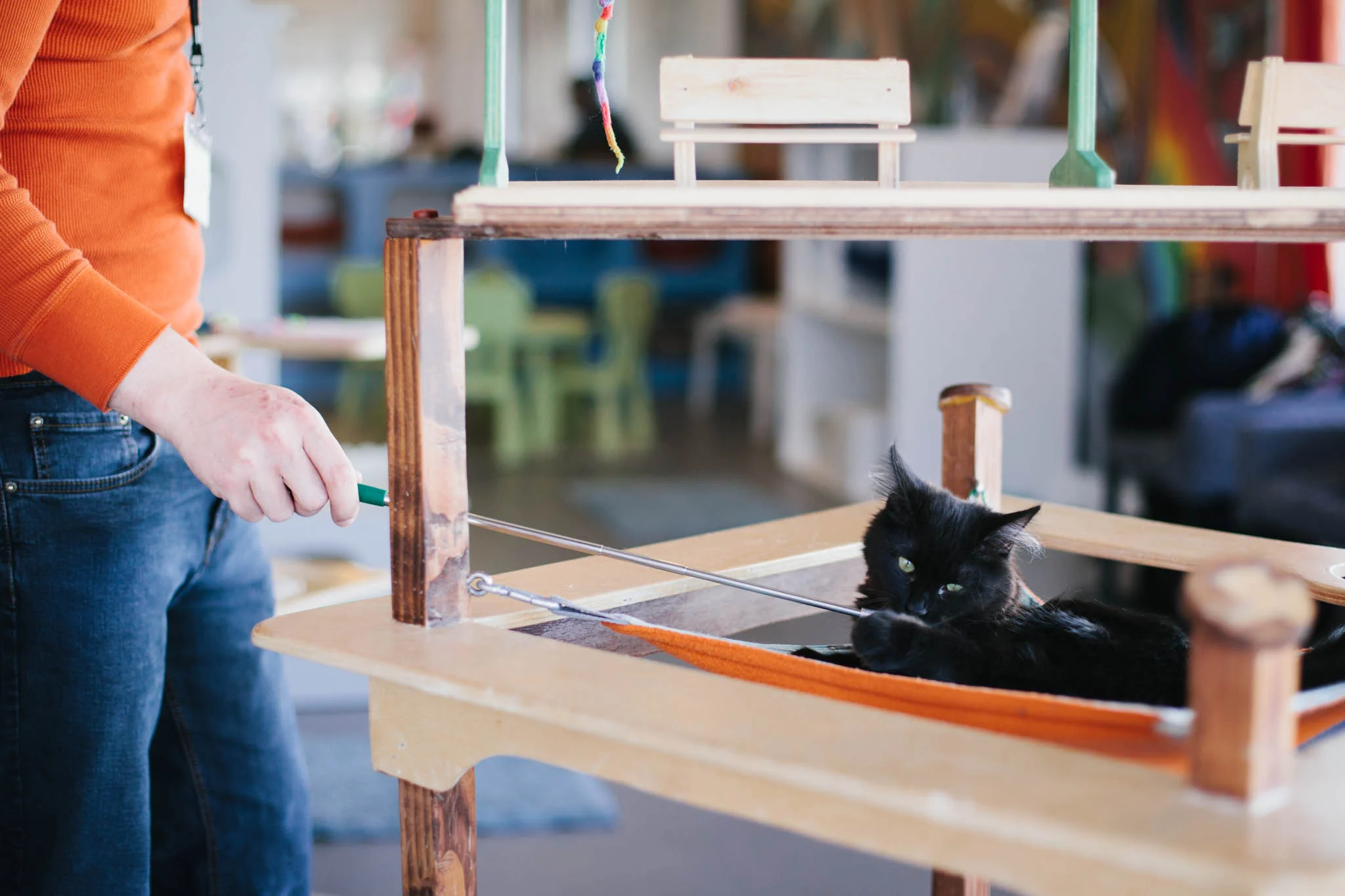 KITTEN WIRE: 5 TIPS FOR BEING A CAT WHISPERER - KITTEN WIRE: 5 TIPS FOR ...