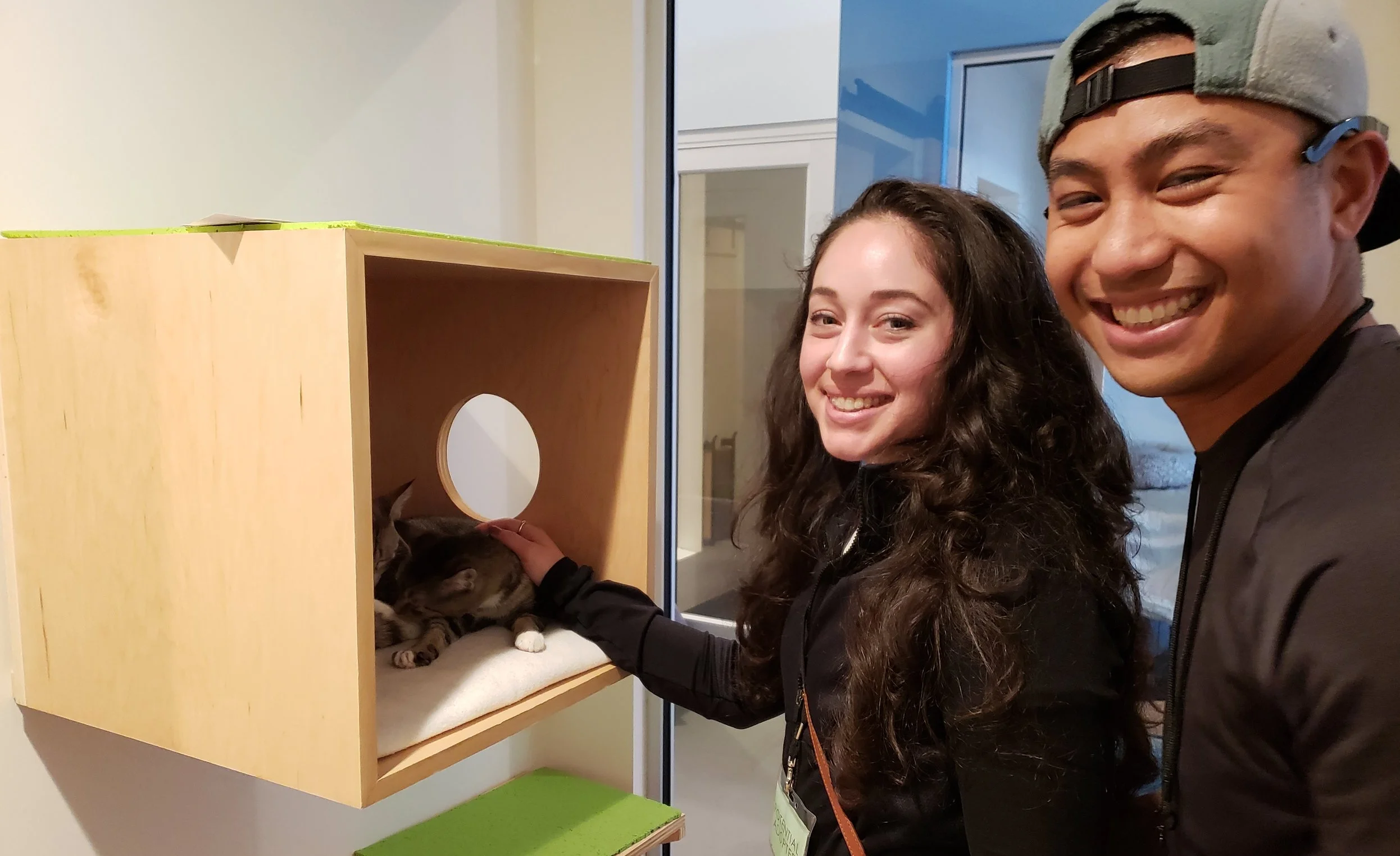 London's Adoption Update - London's Adoption Update