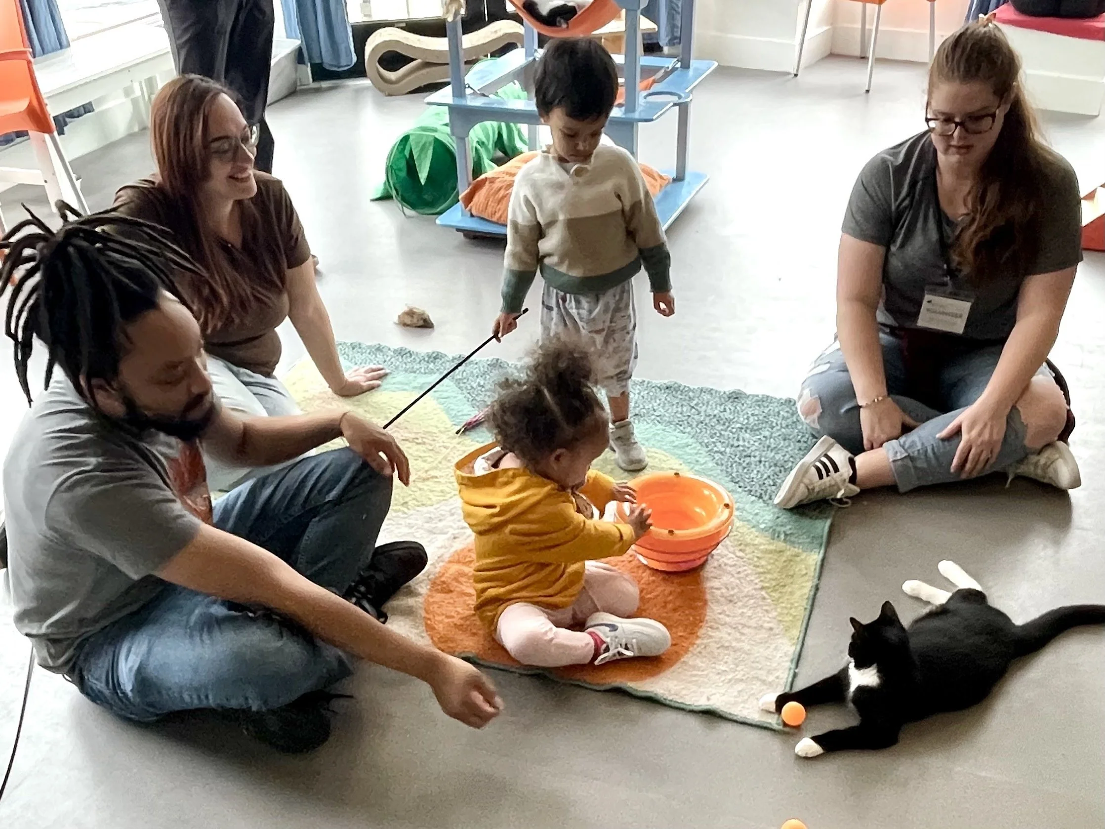 Visiting Our Cats — Cat Town