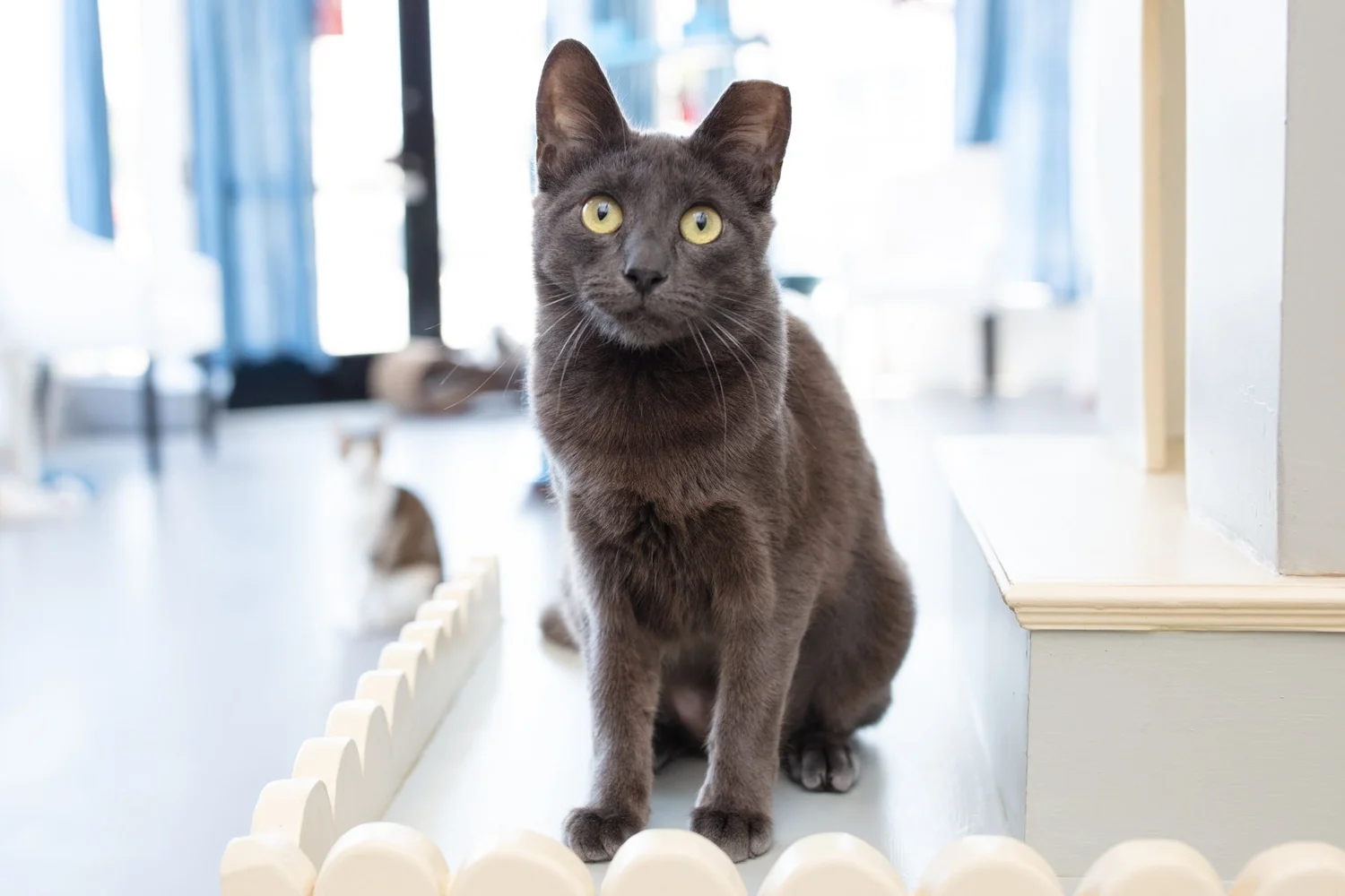 Thank You from Mavi - Thank You from Mavi