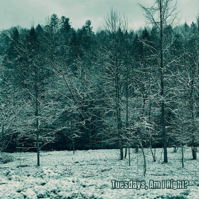 Fuji Gateway — electric sound of joy