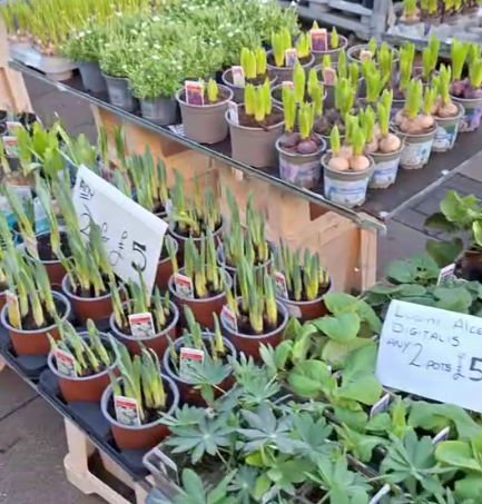 Archway Market