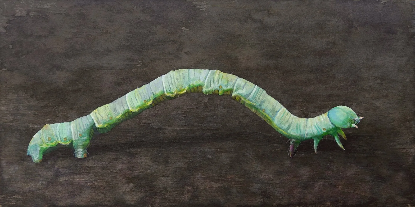 Shelby Prindaville — New Artwork: Earth Measurer