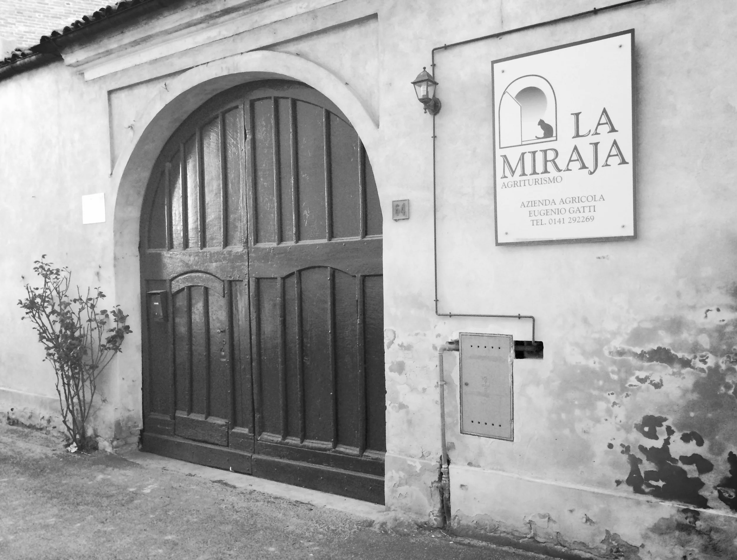 La Miraja — The Piedmont Guy