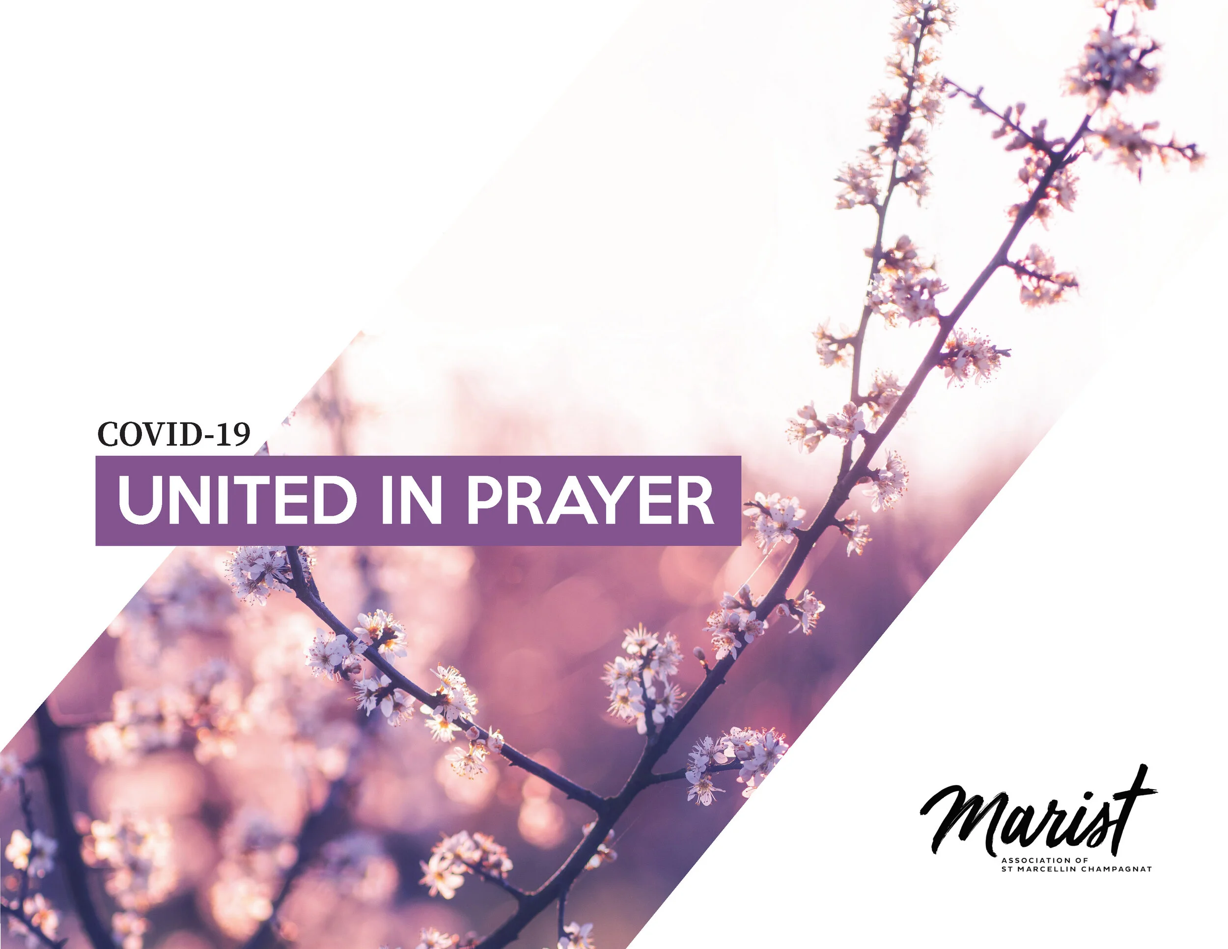 COVID-19 Additional Resources — Marist Association of St Marcellin ...