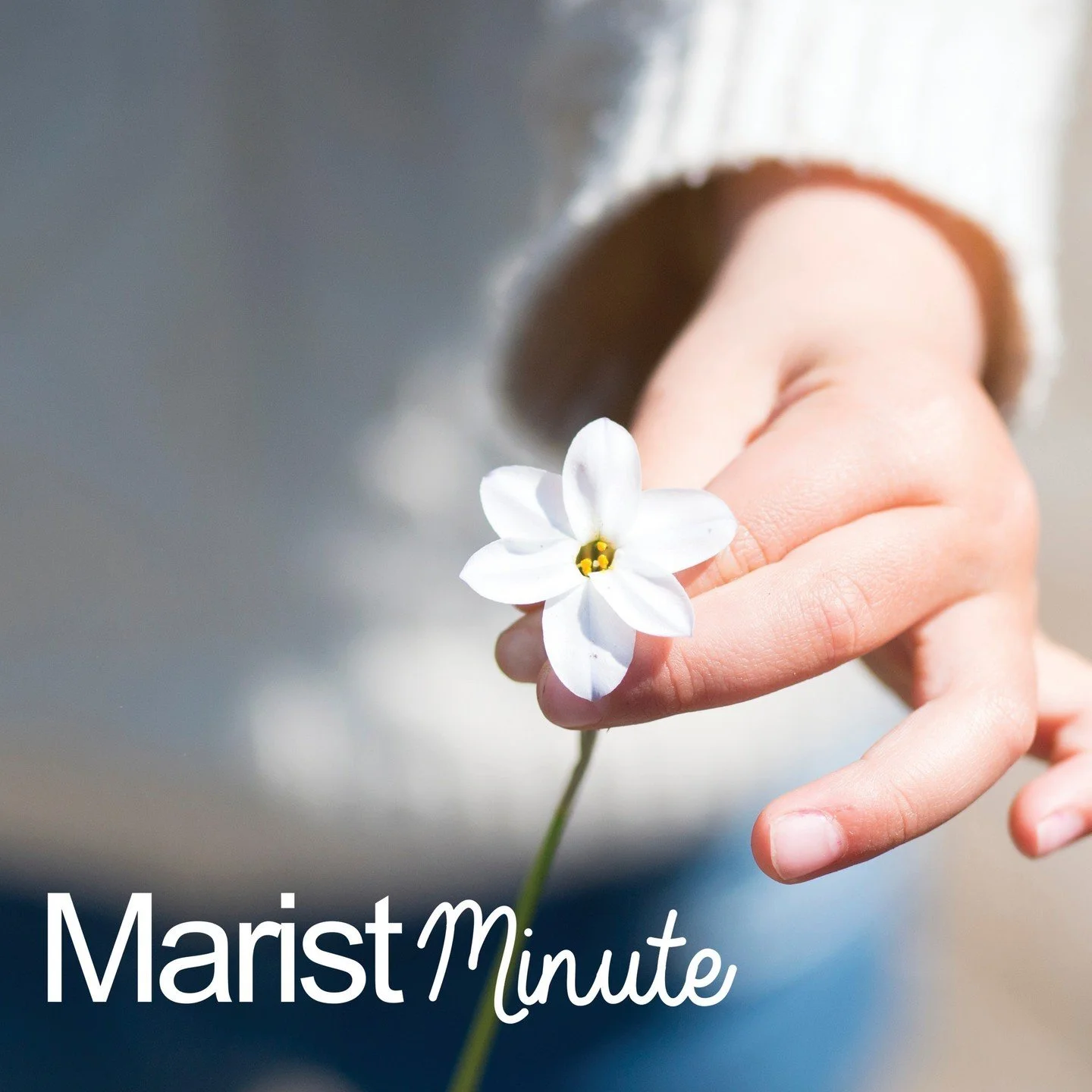 Marist Association of St Marcellin Champagnat