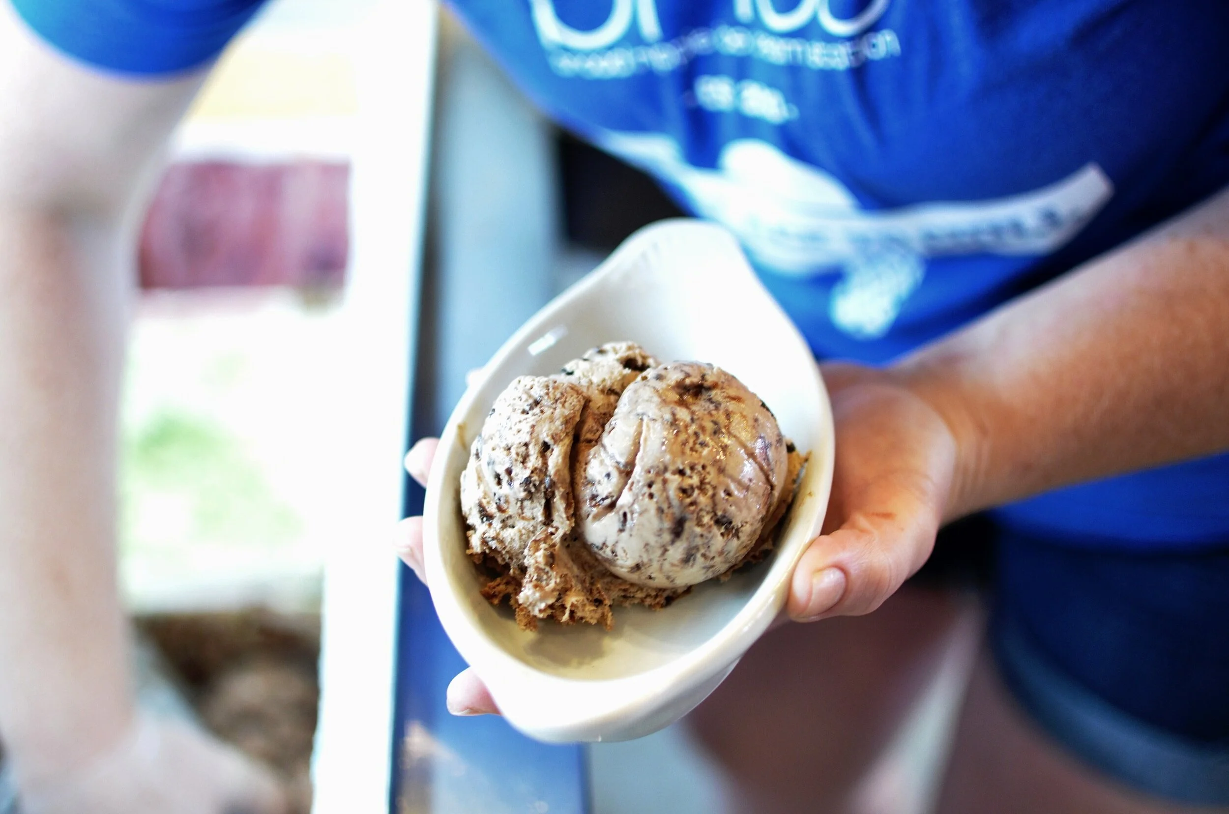 Brics - Broad Ripple Ice Cream Station