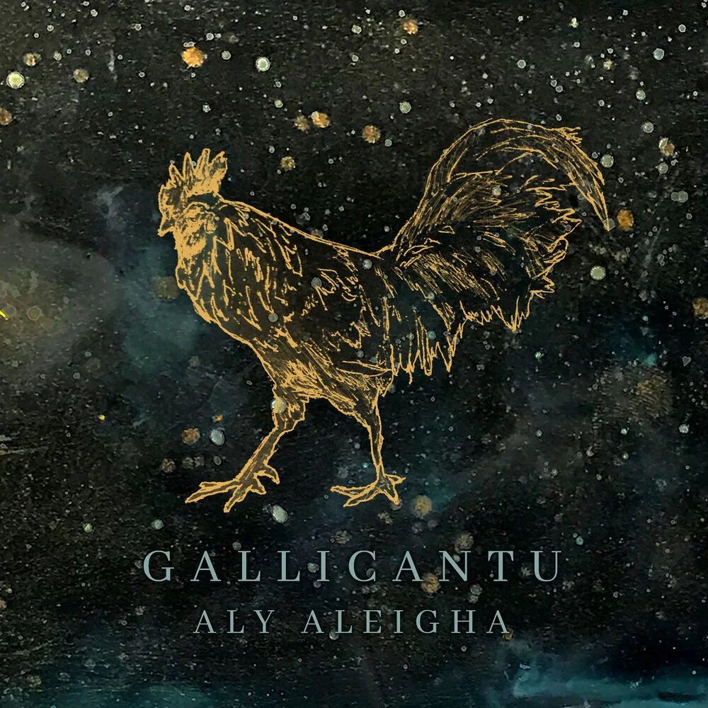 EPK: The Aly Aleigha Band — ALY ALEIGHA