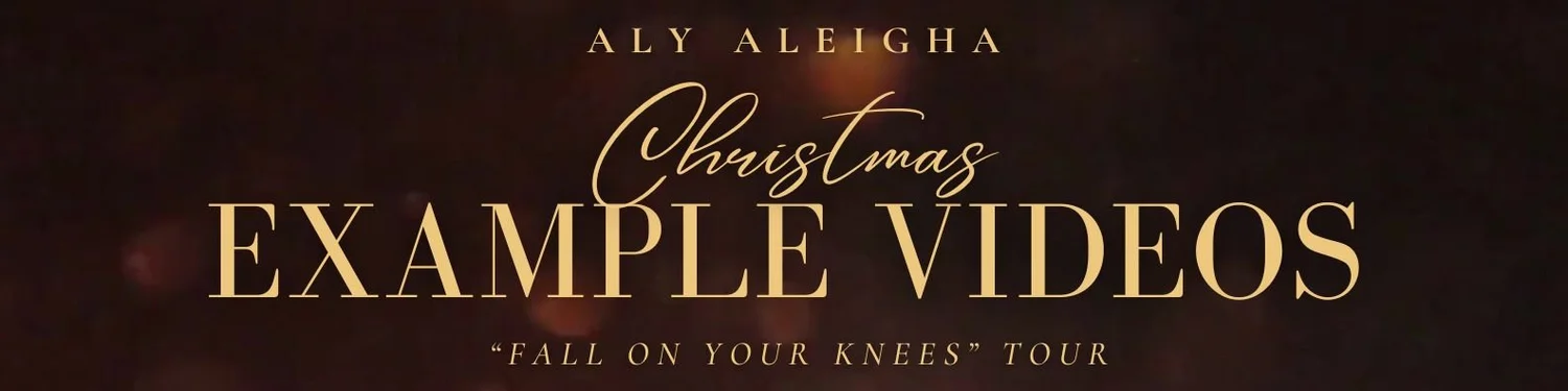 Christmas Tour Booking — ALY ALEIGHA