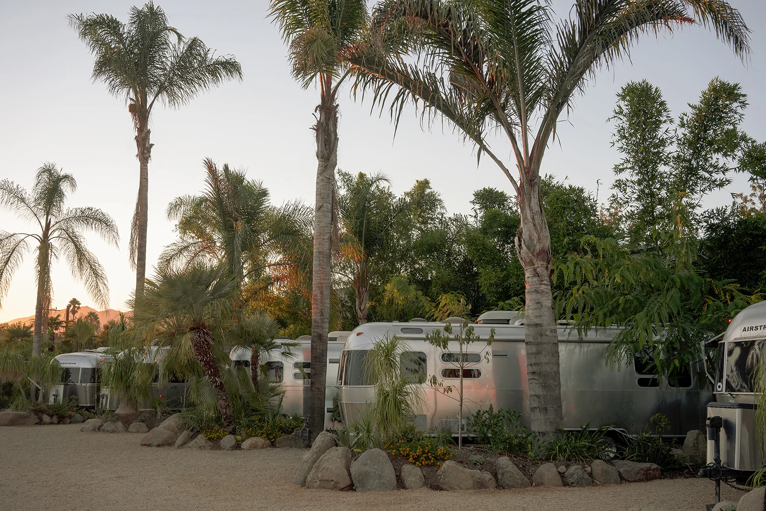 OJAI TRAVEL GUIDE // FROM A LOCAL — Jessie Webster | Photography