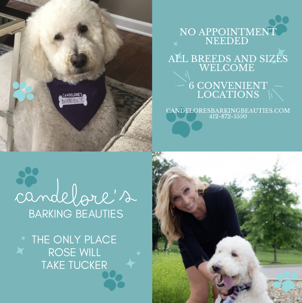 Welcome — Rose Unplugged