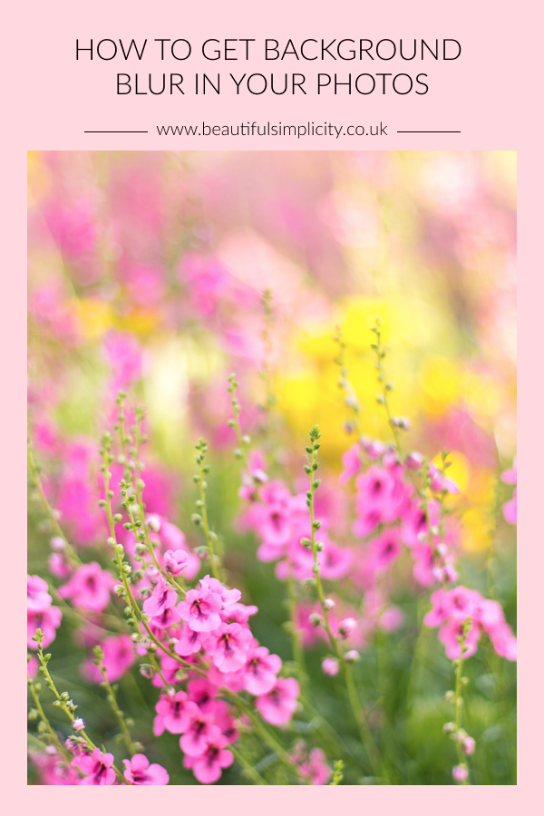 How to get background blur in your photos — Beautiful Simplicity
