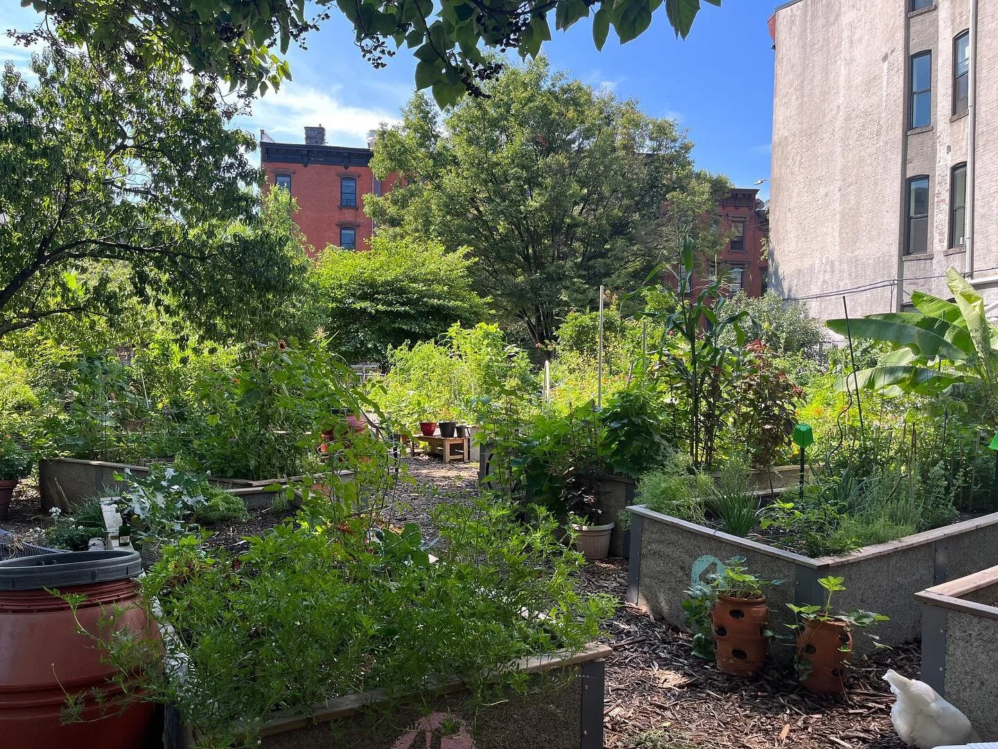 Greene Acres Community Garden