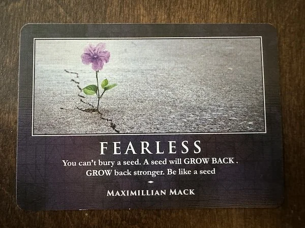 A Taxonomy of the Least Plausible Cards in the Evoke Deck — The Jerx