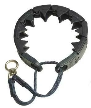 The Truth About Aversive Training Collars — Roman's Holistic Dog Training