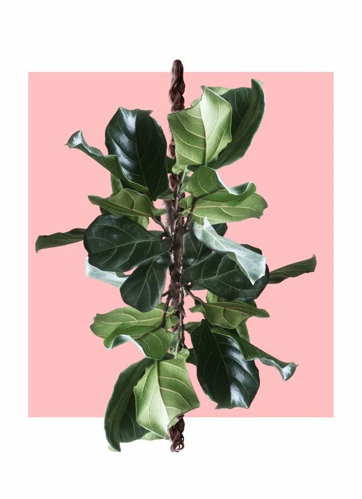 Current — Soltesz Fine Art