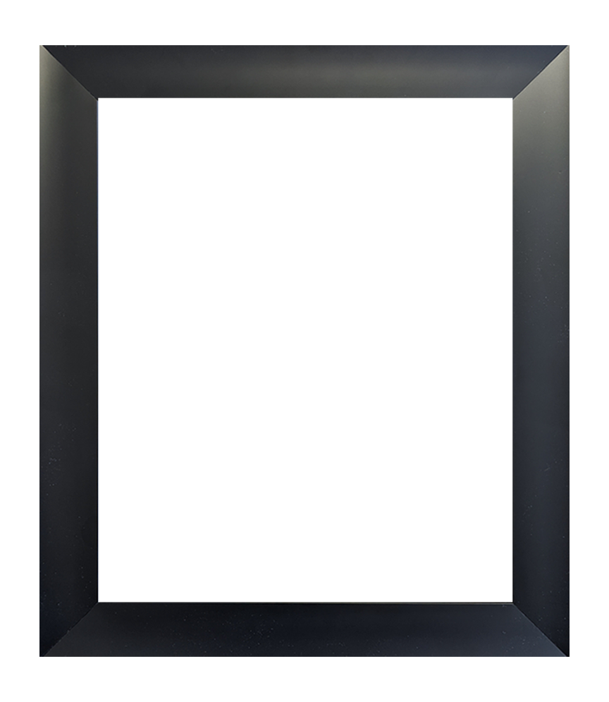 Pic Prolab — Frames