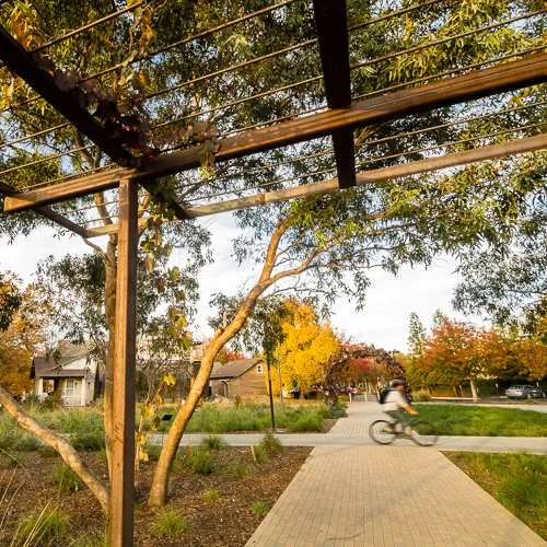 Martha Bernauer, Realtor