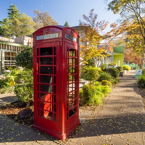 Martha Bernauer, Realtor