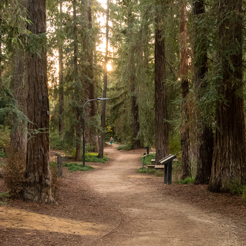 Martha Bernauer, Realtor