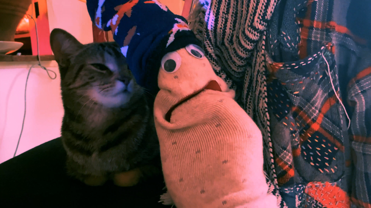 The Puppet Project: Lockdown Edition — Arts North West