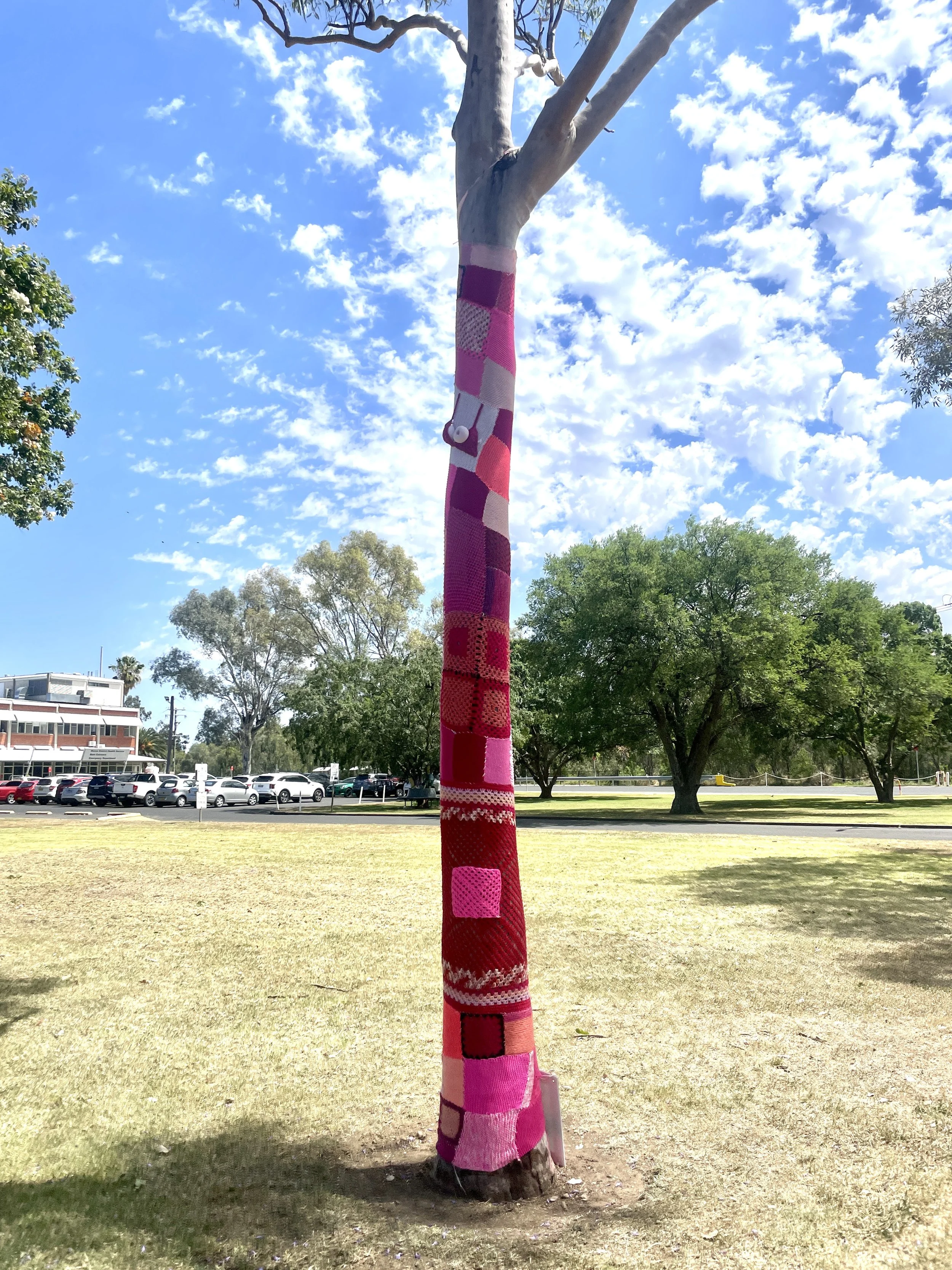 Breast Cancer Awareness Tree — Arts North West