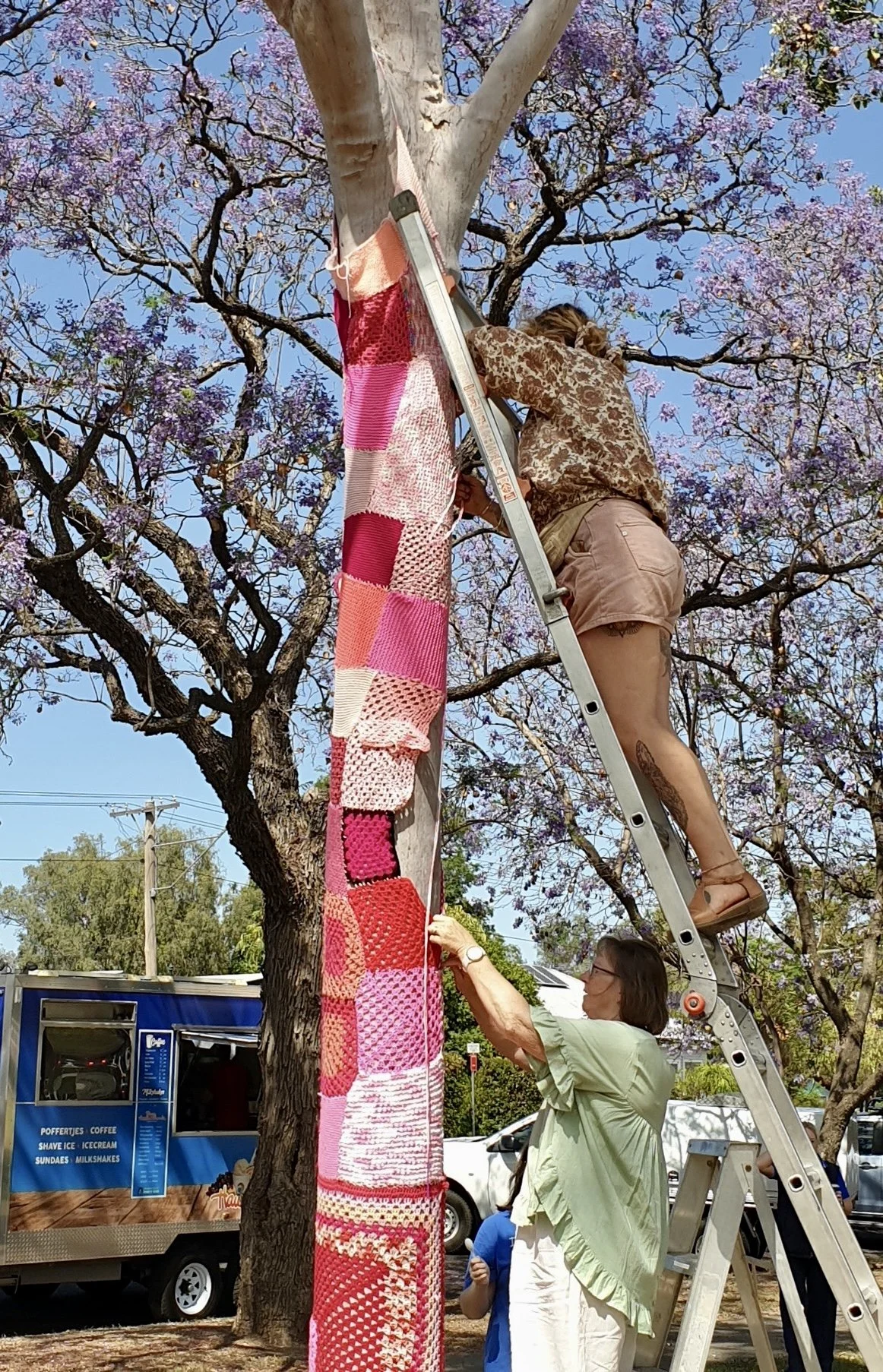 Breast Cancer Awareness Tree — Arts North West